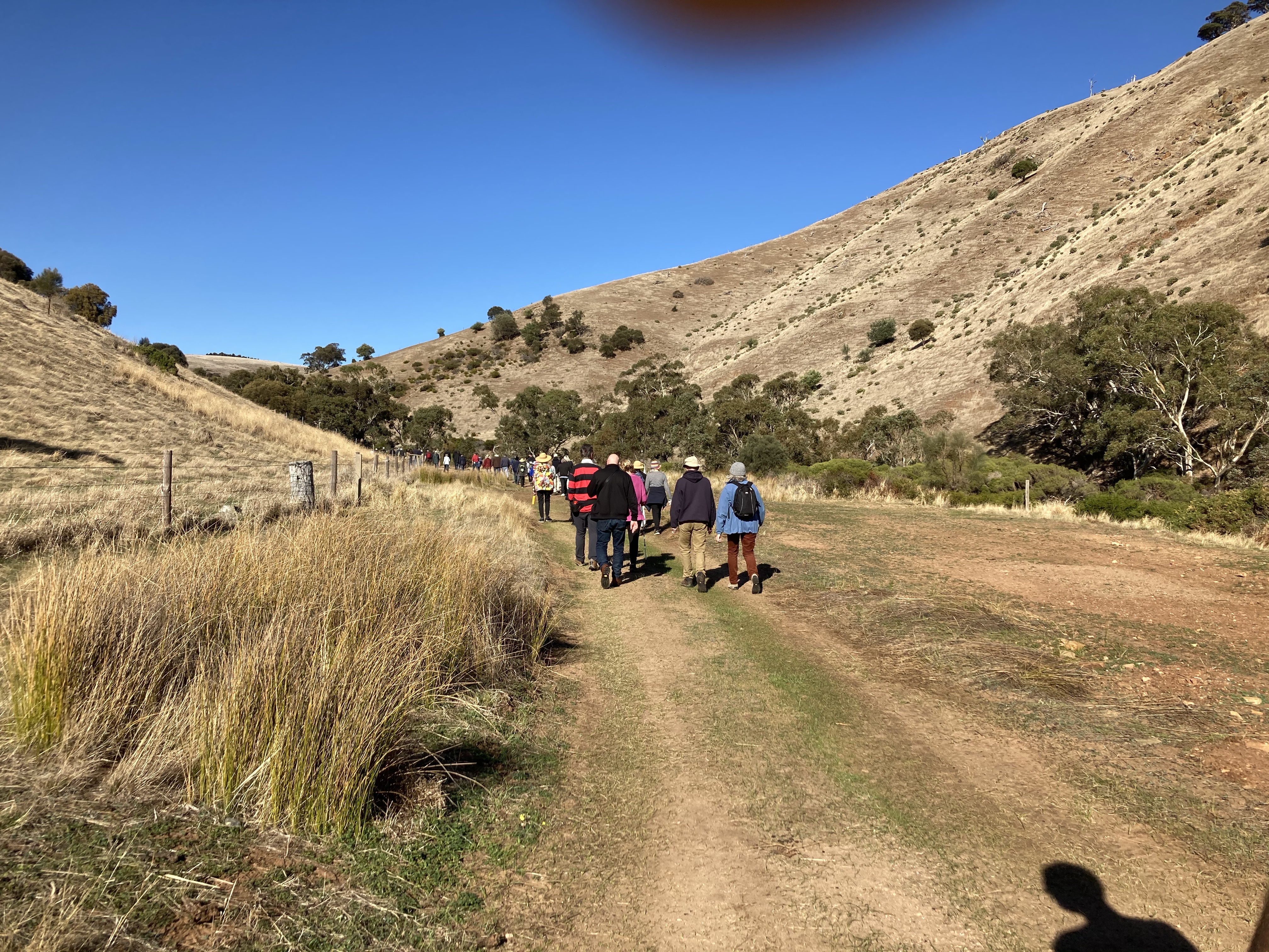 Grand Opening: The Great (Big) Gorge Walk